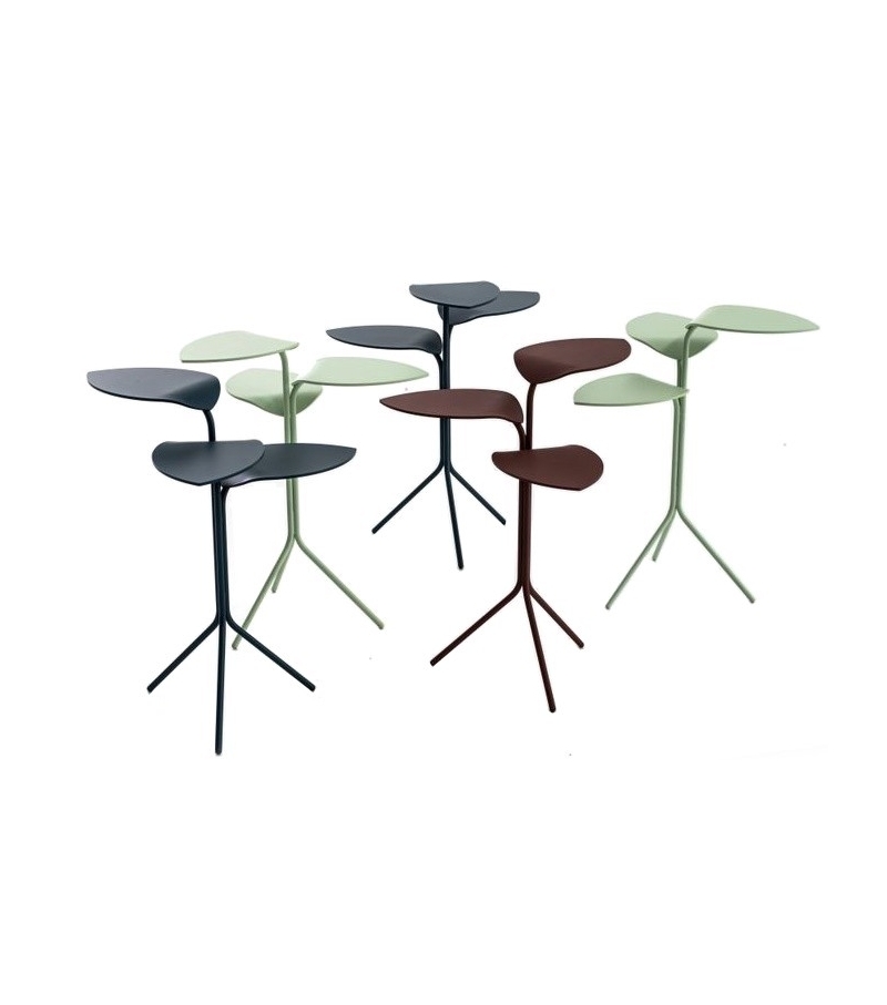 Morning Glory Coffee Table Moroso - Milia Shop